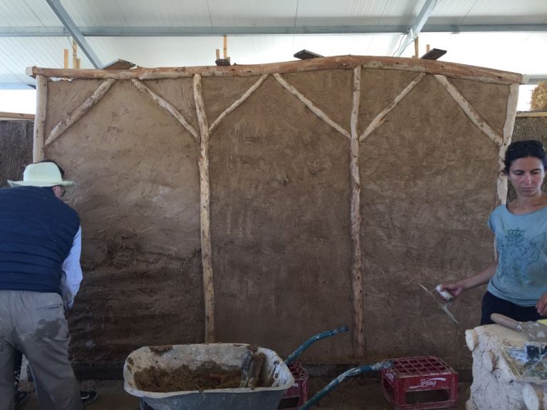 Building Cob Walls – Exploring Alternatives